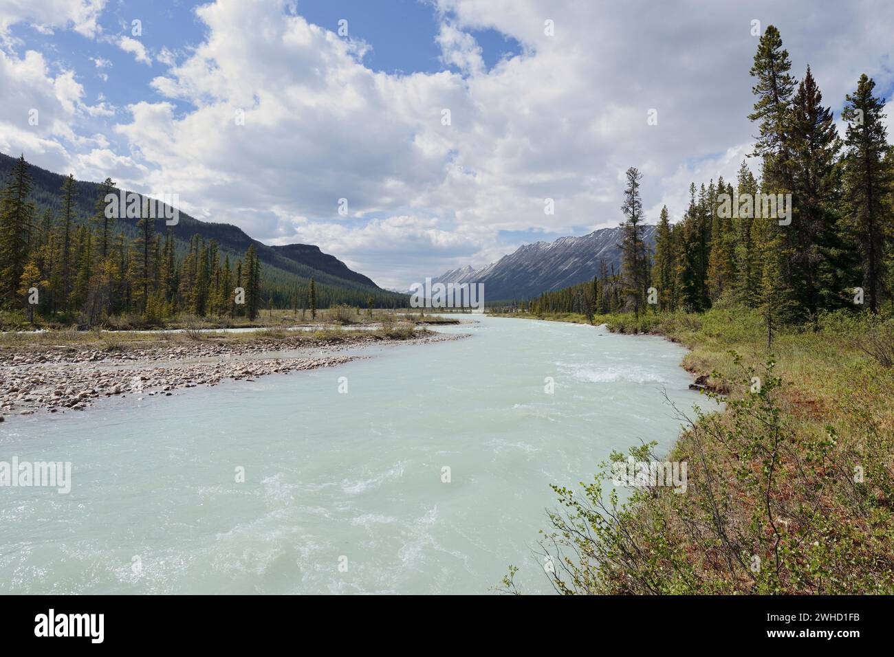 Sunwapta River, Icefields Parkway, Jasper National Park, Alberta ...