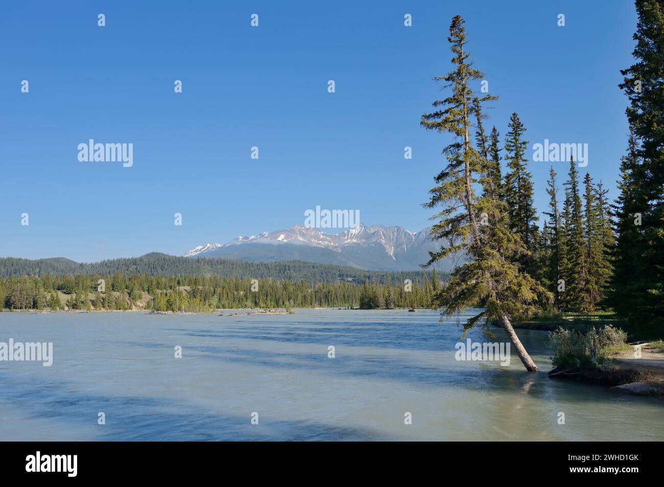 Athabasca river jasper national hi-res stock photography and images - Alamy