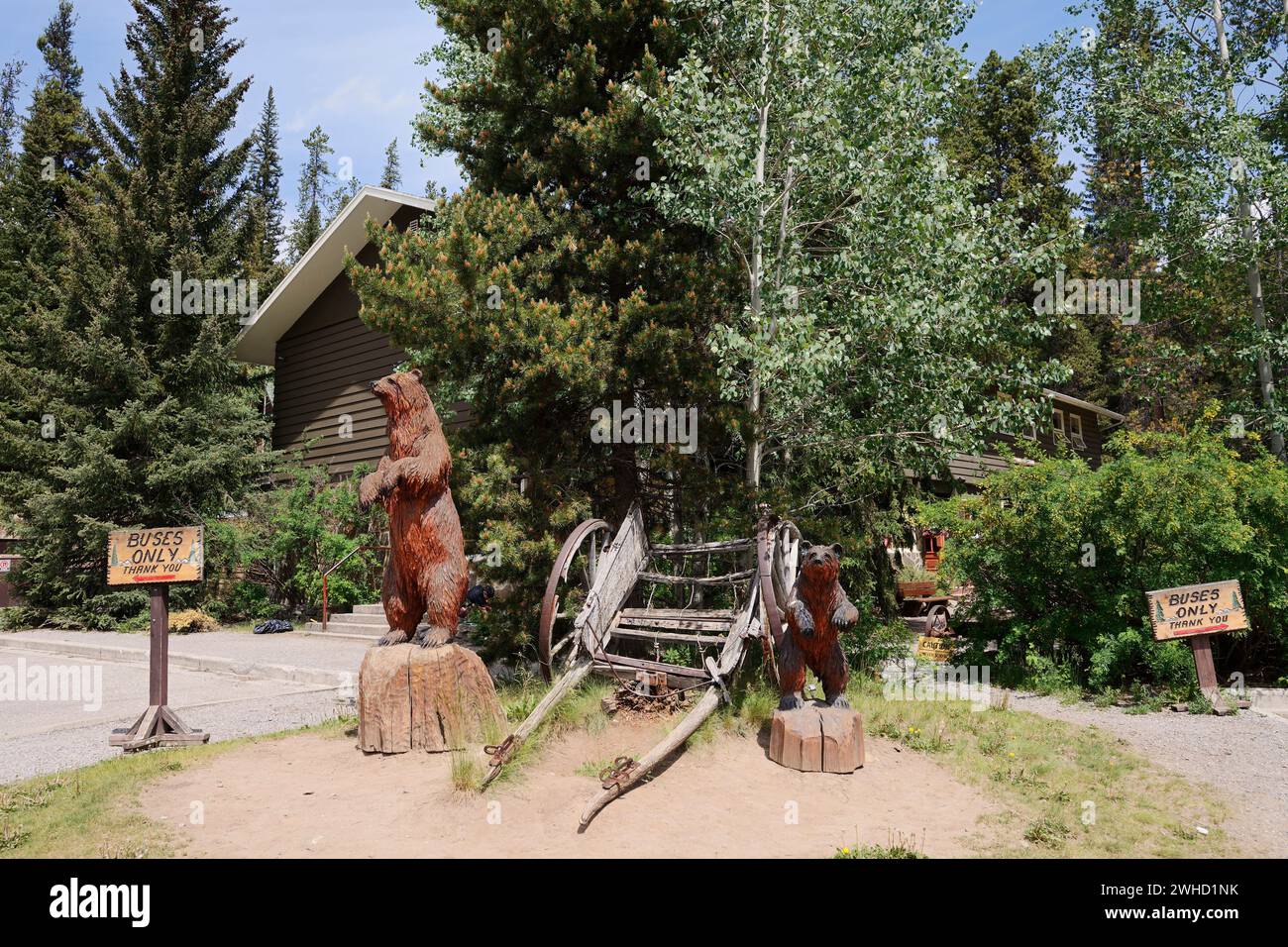 Wooden bear sculptures, entrance to Johnston Canyon, Banff National ...