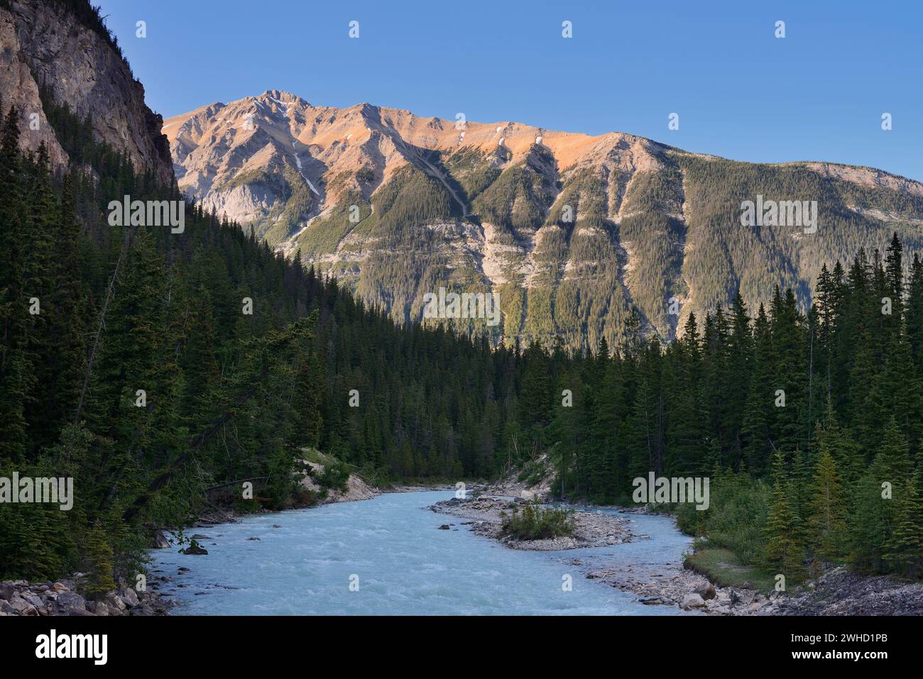 Yoho River, Yoho National Park, British Columbia, Canada Stock Photo - Alamy