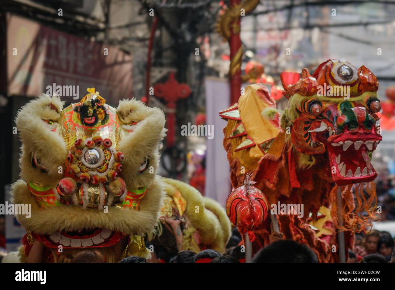 View of dragon props during the performance of a dragon dance in the ...