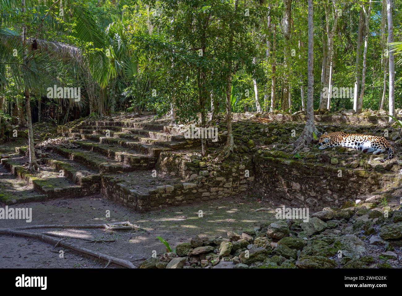 Nature in culture hi-res stock photography and images - Alamy