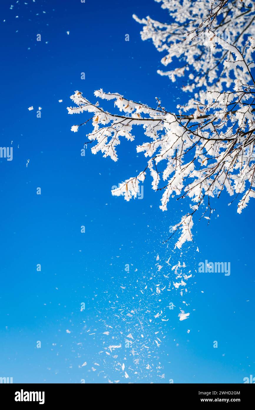 Very icy day hi-res stock photography and images - Alamy