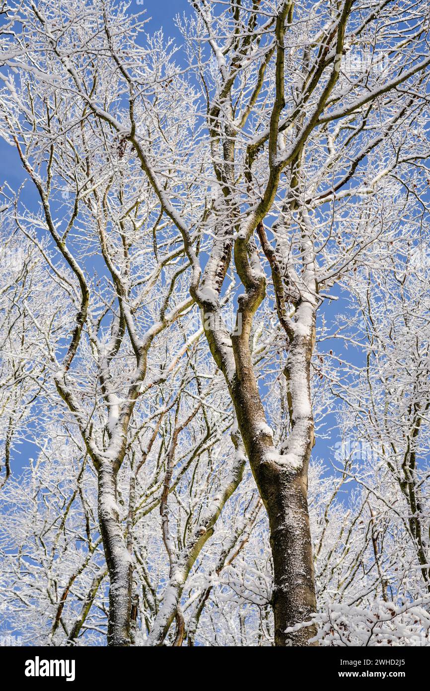View in sky through hi-res stock photography and images - Alamy