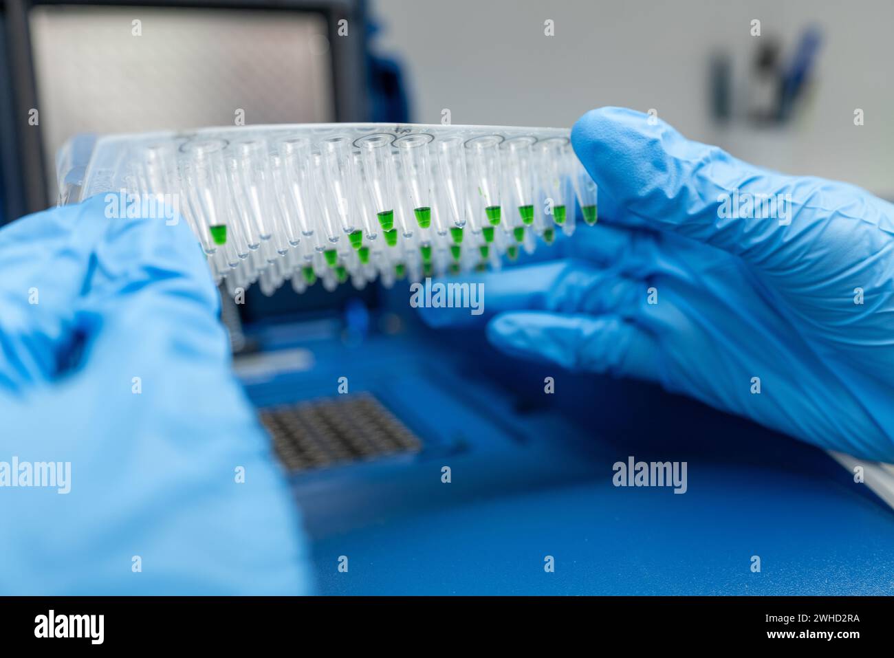 Dripping liquid from pipette into test tube in laboratory, closeup ...