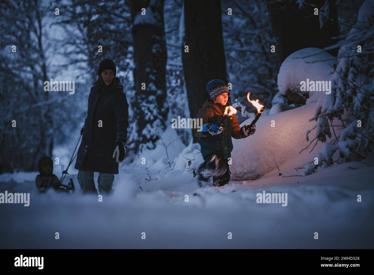 Family torchlight hike in the forest Stock Photo - Alamy