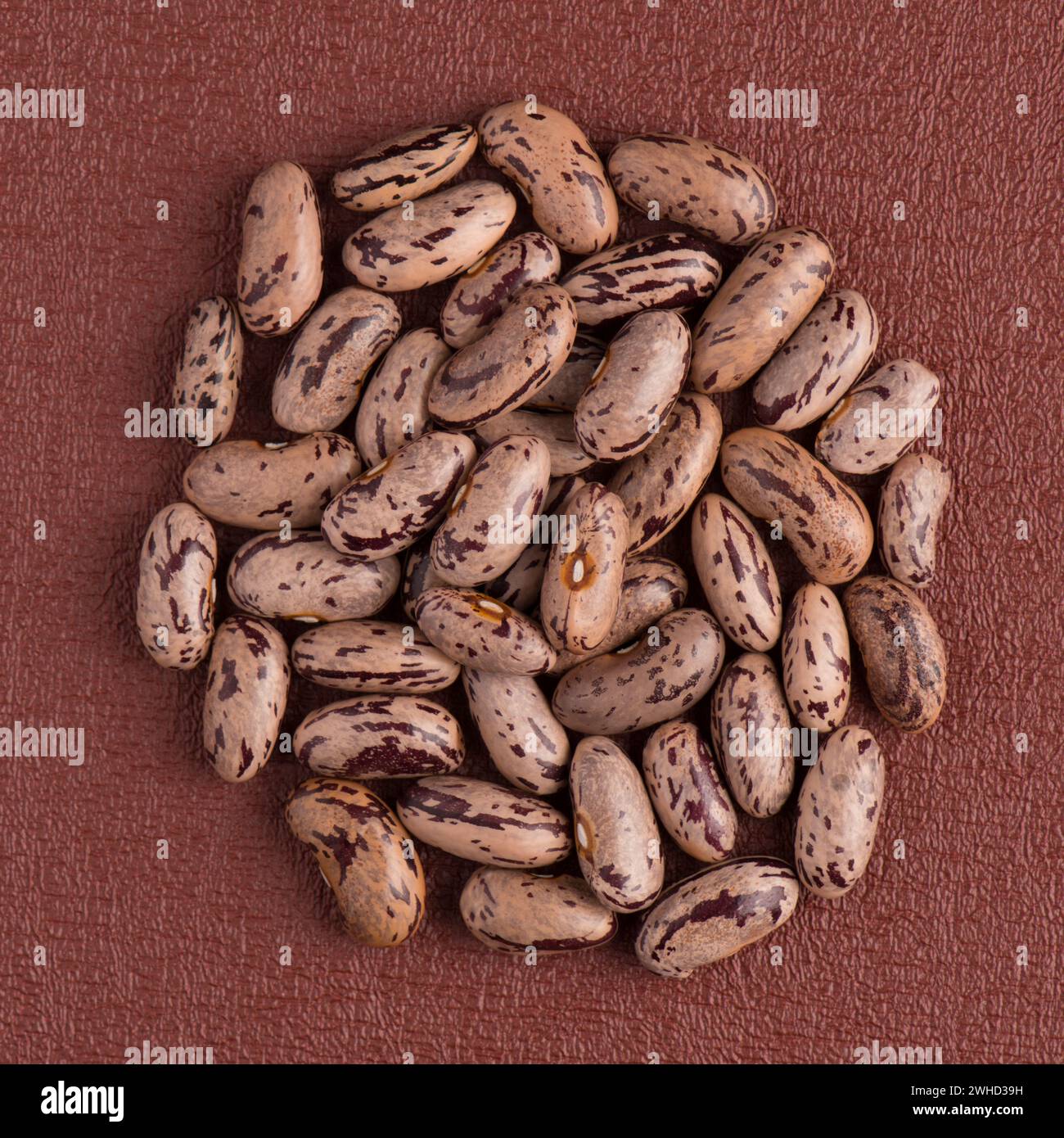Circle of pinto beans Stock Photo - Alamy