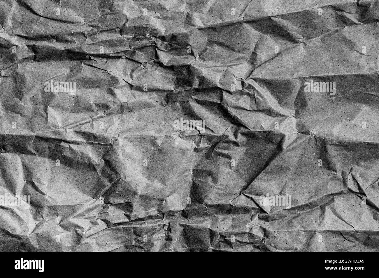 paper on light, white background.Crumpled Paper Wallpaper.crumpled ...