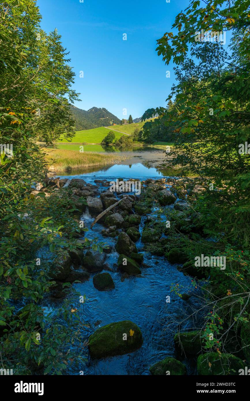 Leckner Ach, Lecknersee, humpback meadow, water reflection ...