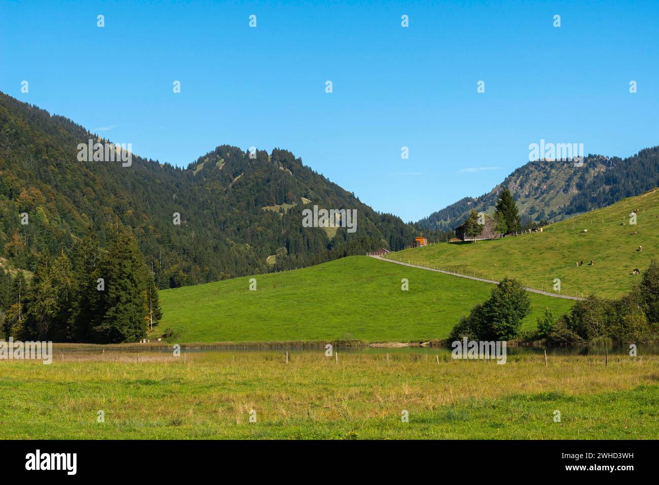 Alpine farm at Lecknersee, Buckelwiese, municipality of Dornbirn ...
