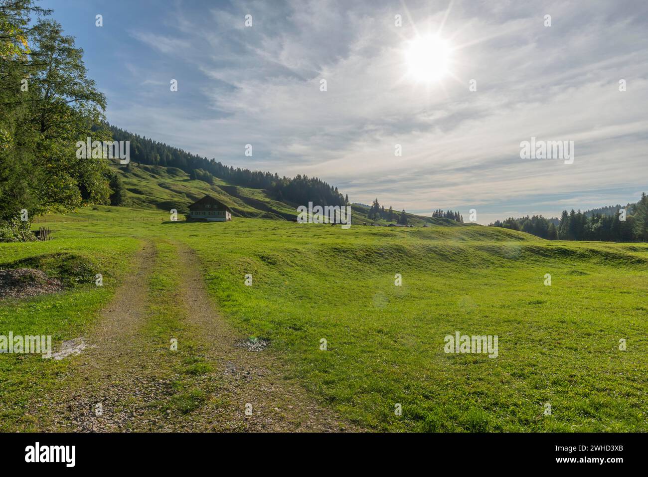 Alpine farm at Lecknersee, humpback meadow, path, municipality of ...