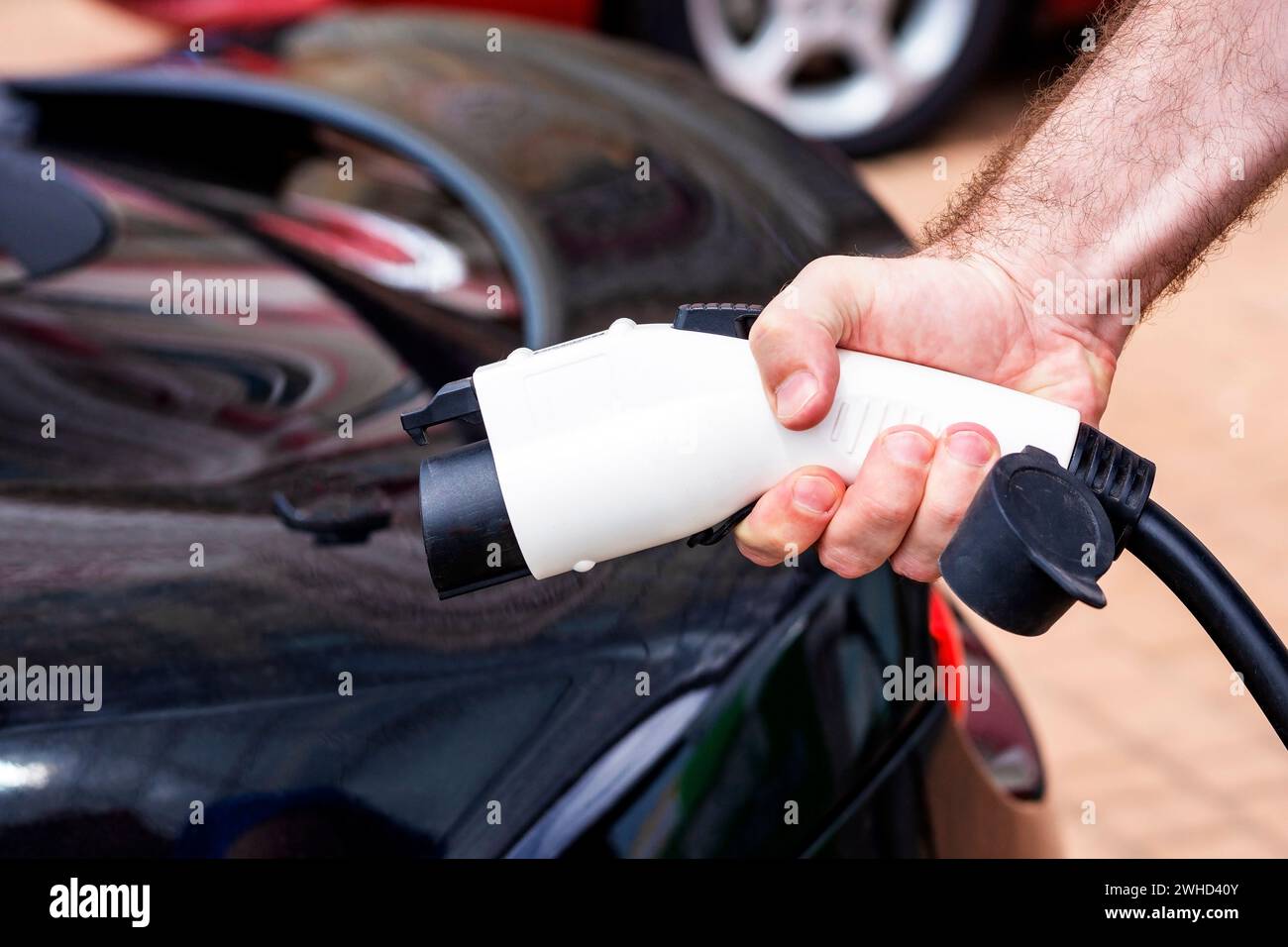 The hand takes an electric vehicle charging cable. in the driver's hand ...