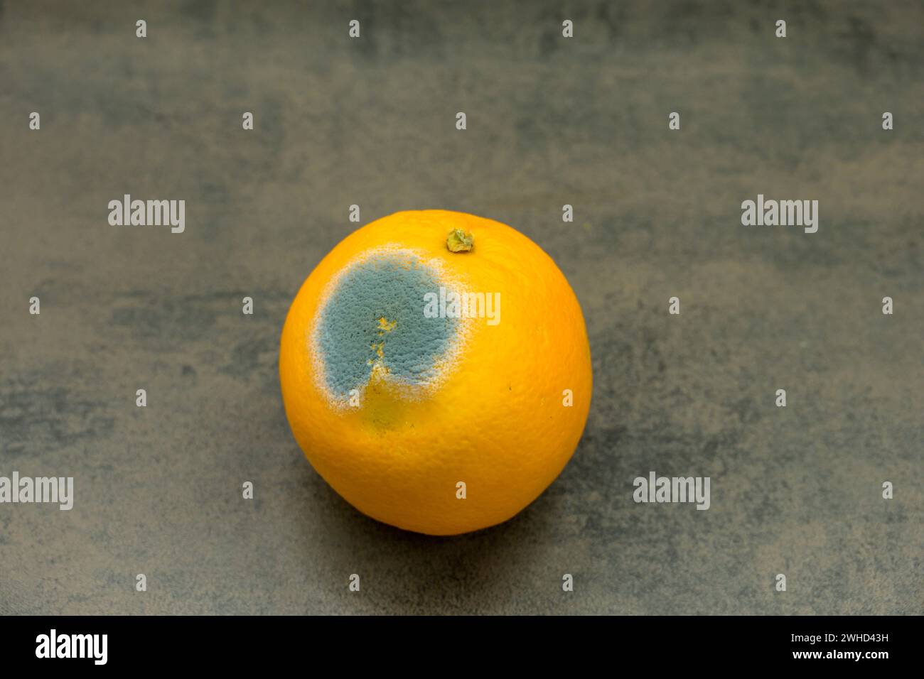 Orange mold hi-res stock photography and images - Alamy