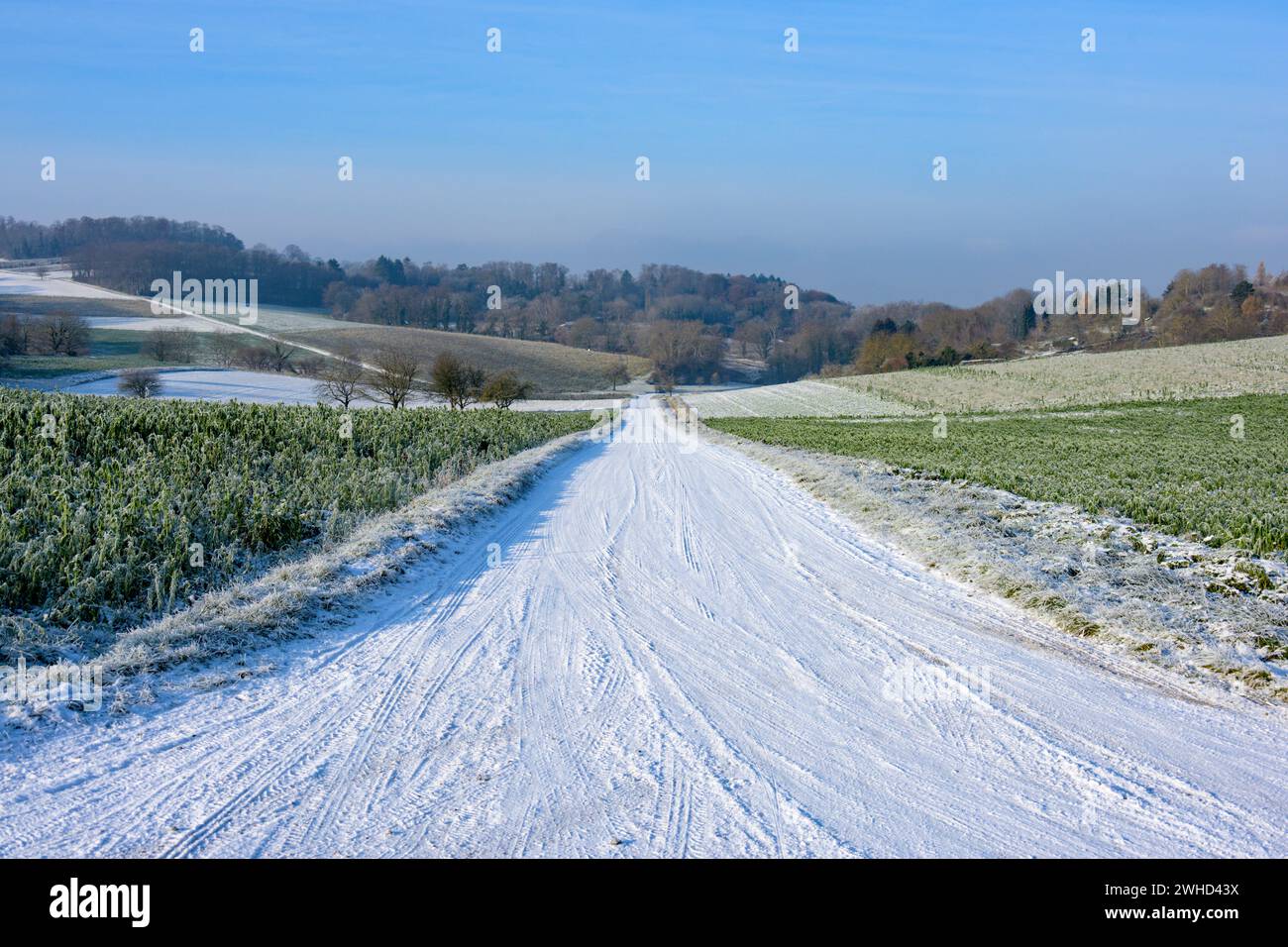 Covered paths hi-res stock photography and images - Alamy