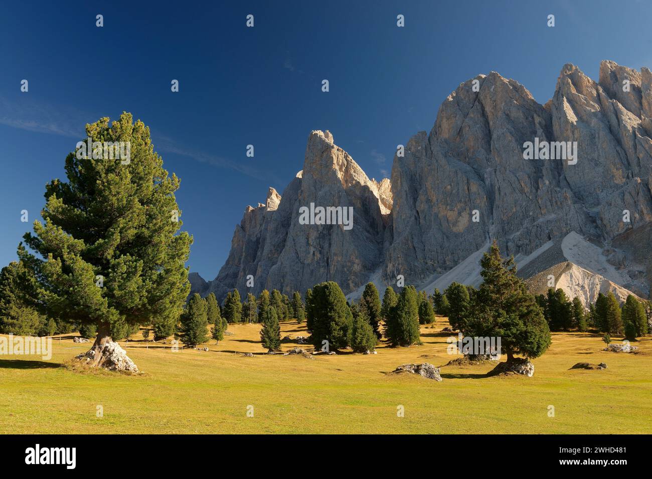 Gschnagenhardt alm and geisler peaks 3025m in autumn hi-res stock ...