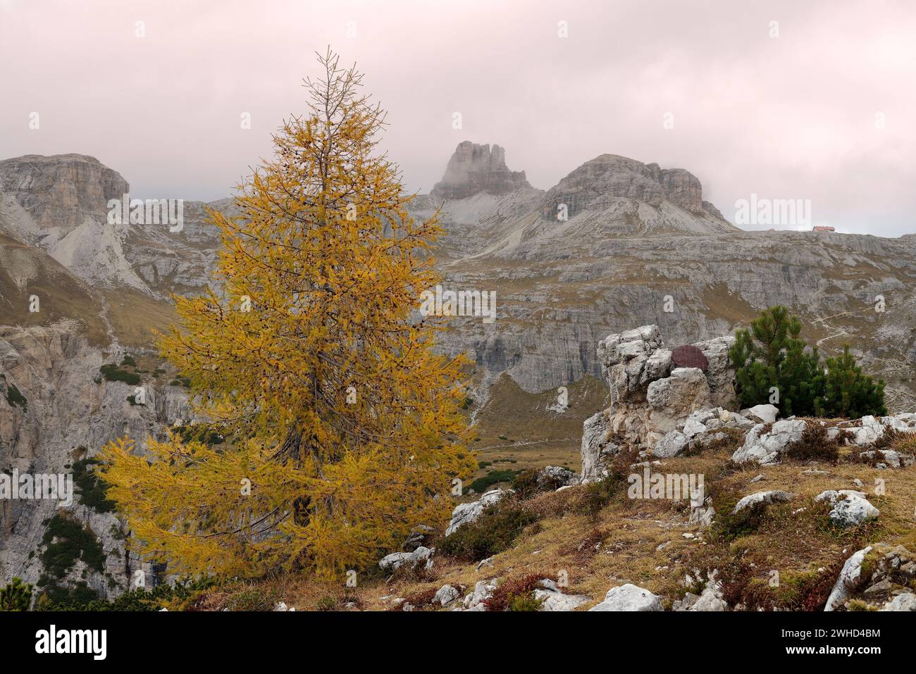 Three Peaks circular trail between Dreizinnenhütte and Auronzo hut ...