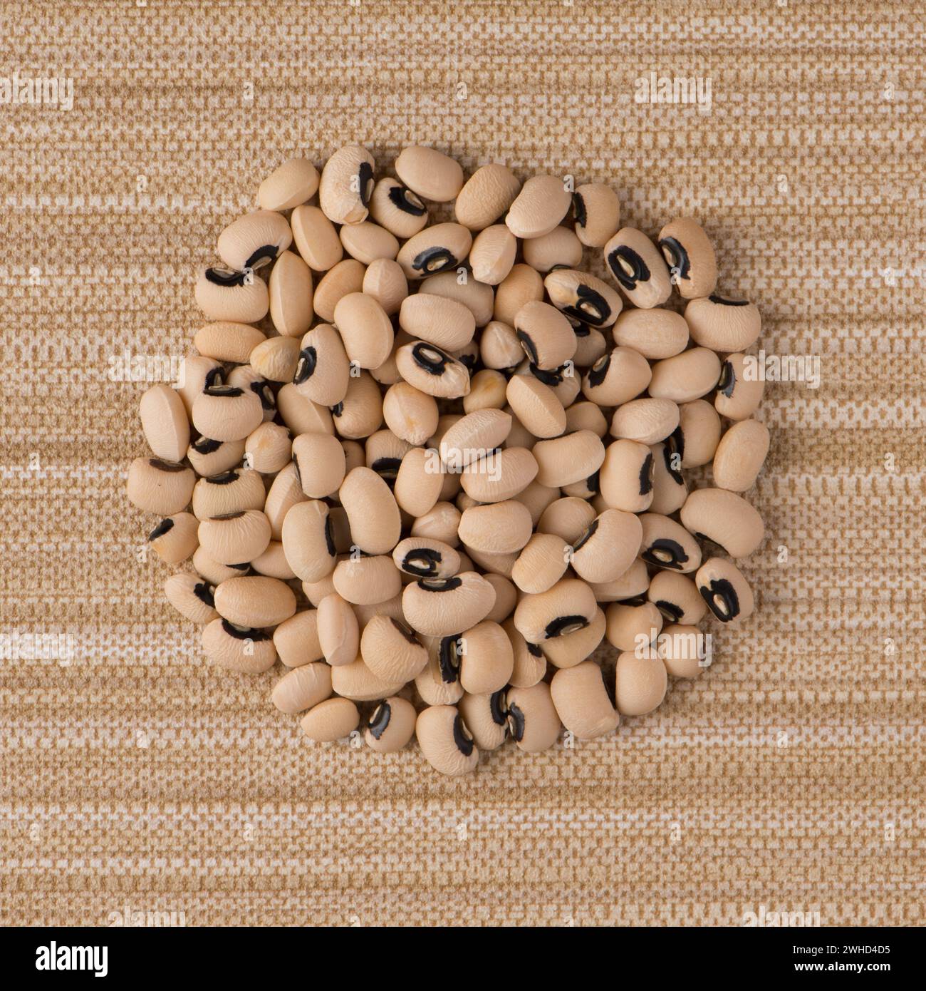 Circle of white beans Stock Photo - Alamy