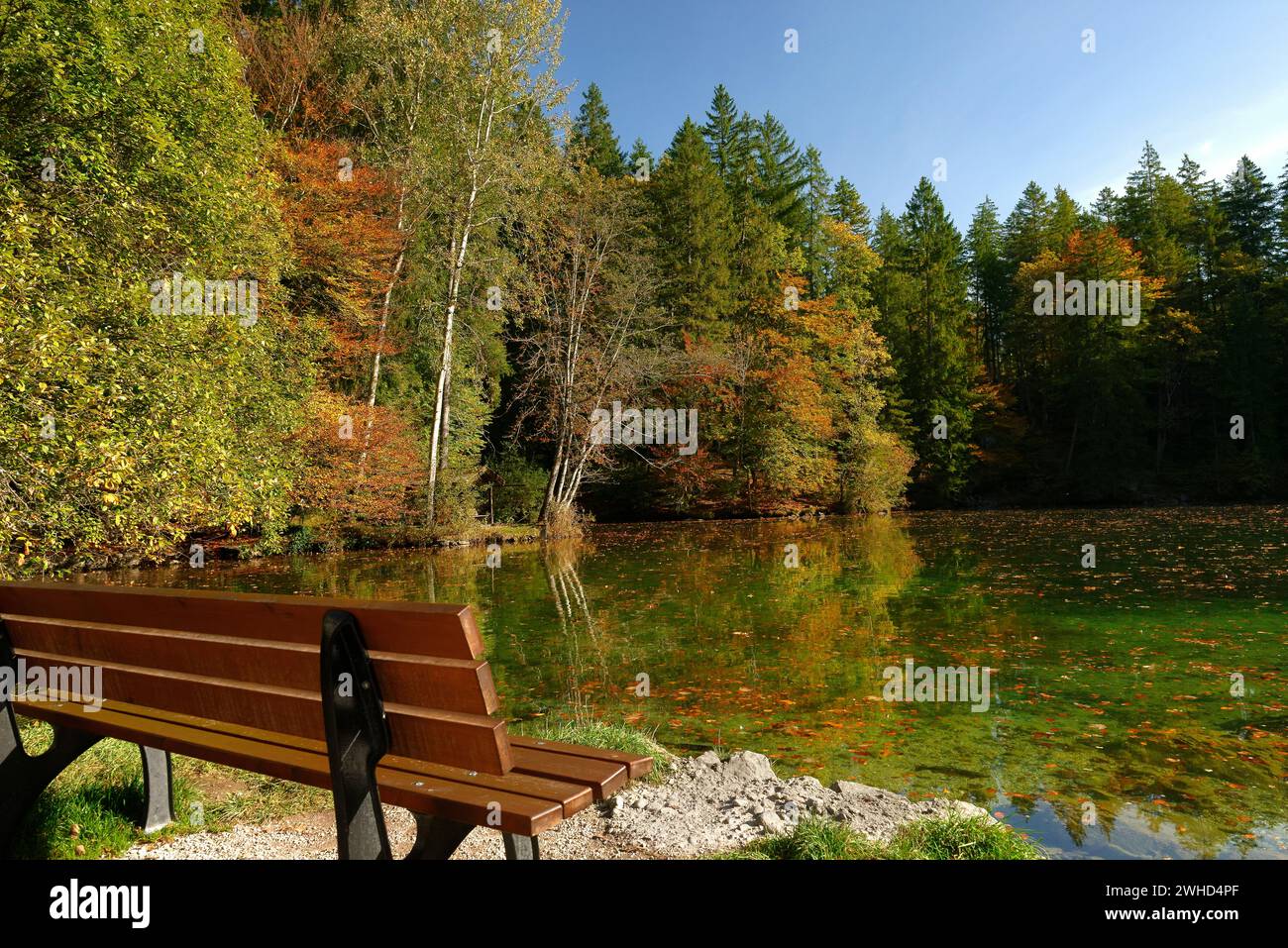 Autumn at Lake Badersee near Grainau, Zugspitzdorf Grainau, Upper ...