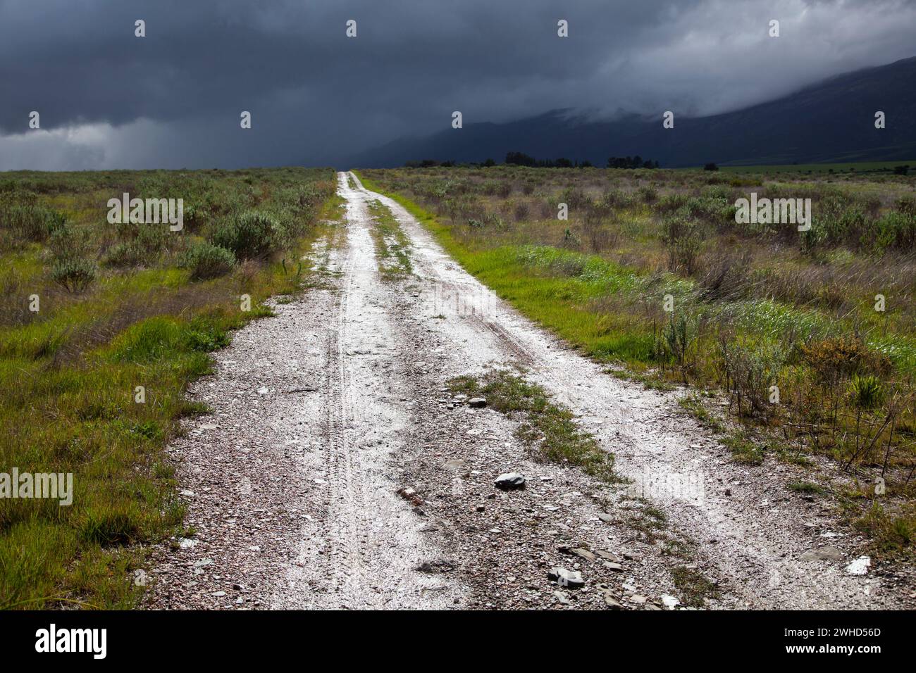 Tulbagh, daytime, no people, outdoors, abstract, South Africa, Africa ...