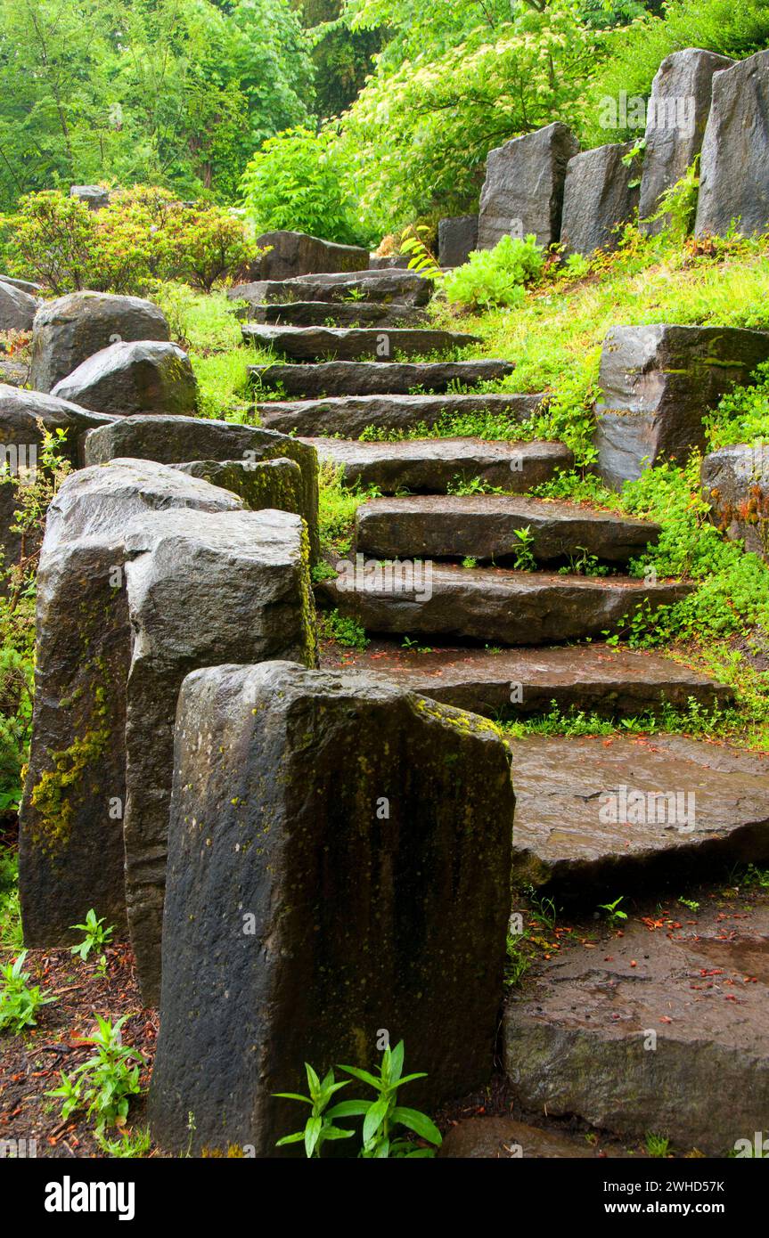 Garden stairs, Crystal Springs Rhododendon Gardens, Portland, Oregon ...