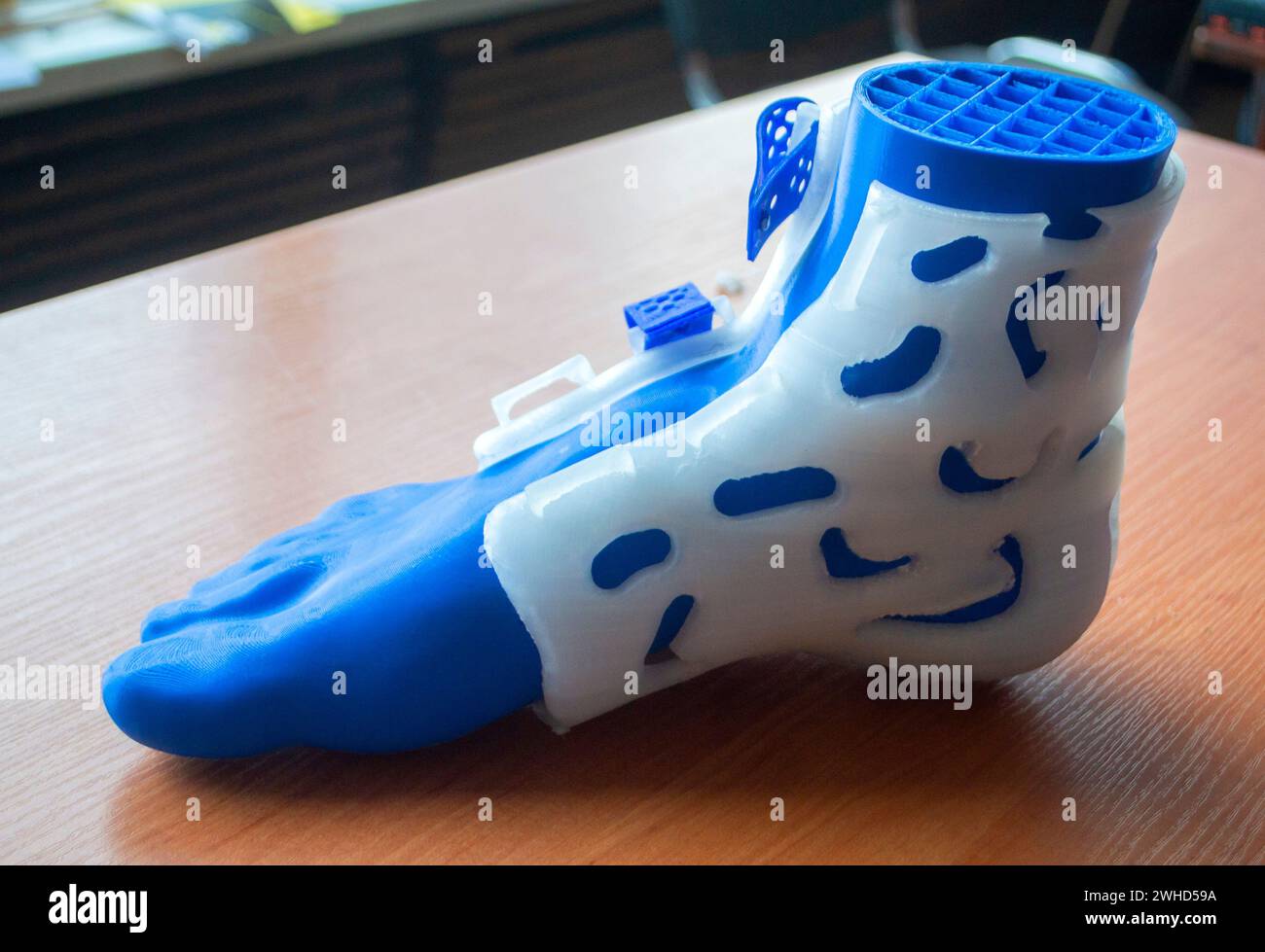 Medicine splint corset prosthesis langet for foot and model human foot ...