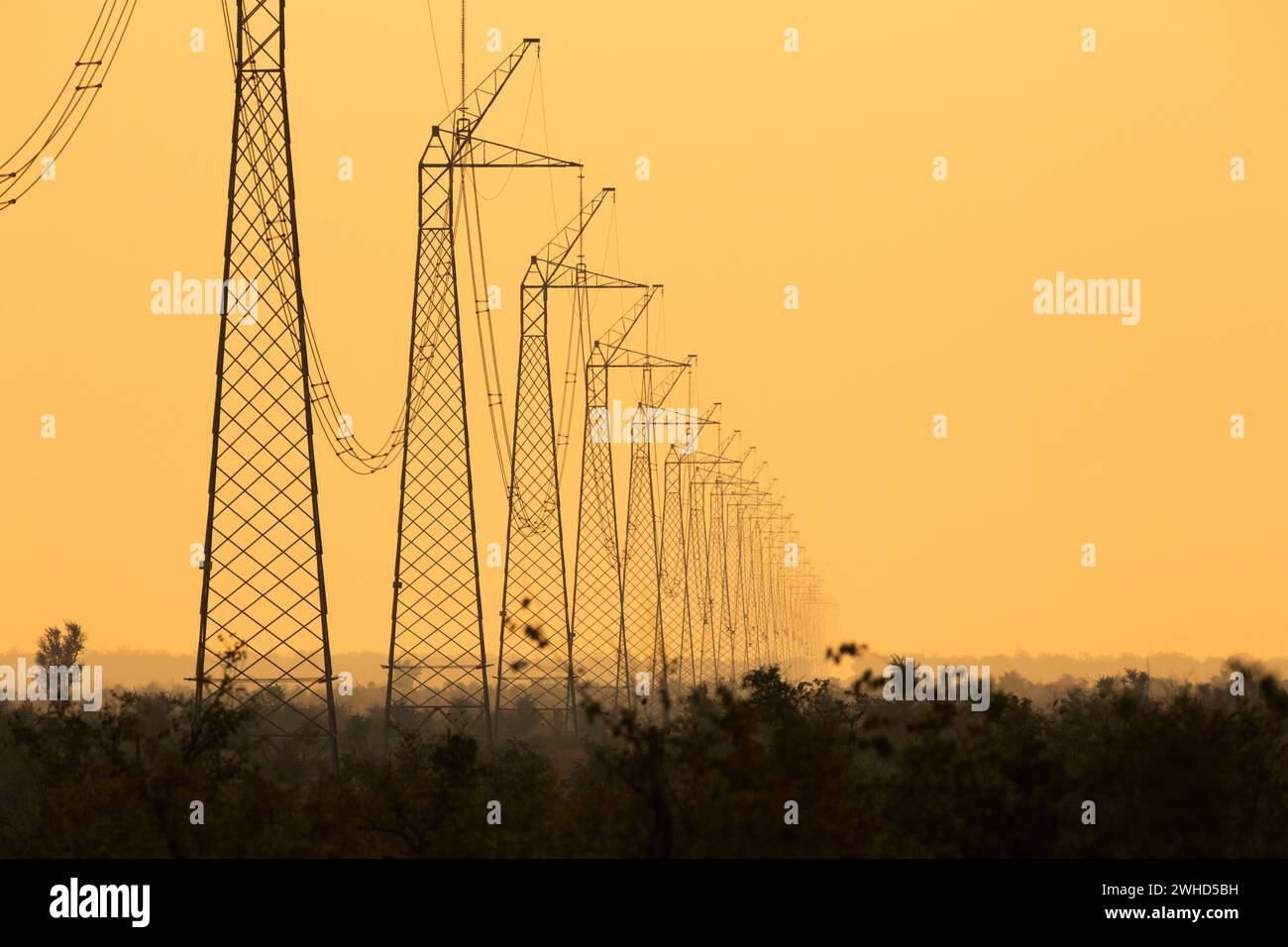 Africa, Kruger National Park, Limpopo Province, powerlines, South ...