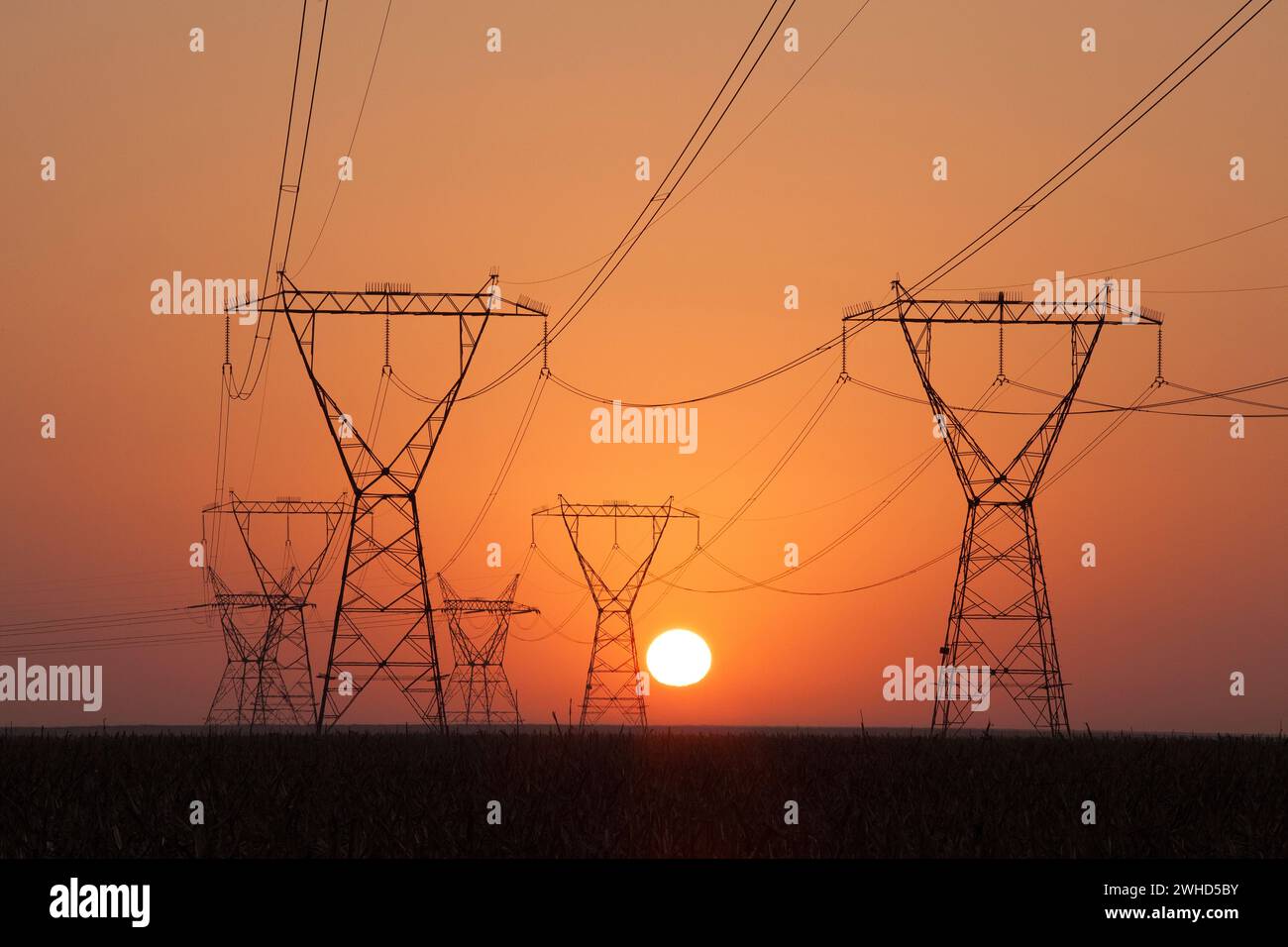 Africa, Marievale Bird Sanctuary, powerlines, South Africa, copy space ...