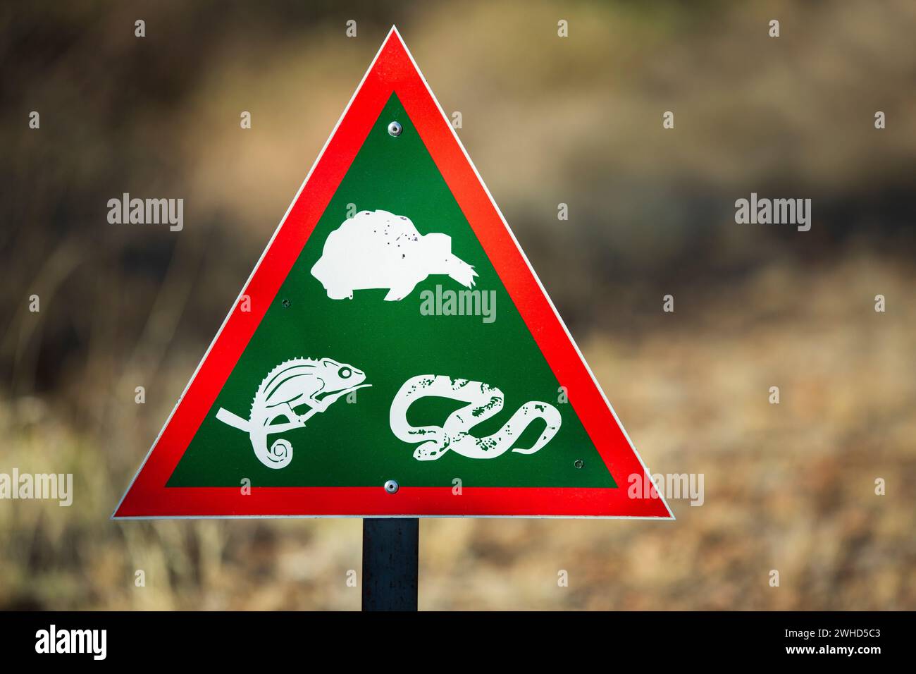 Beware wildlife hi-res stock photography and images - Alamy