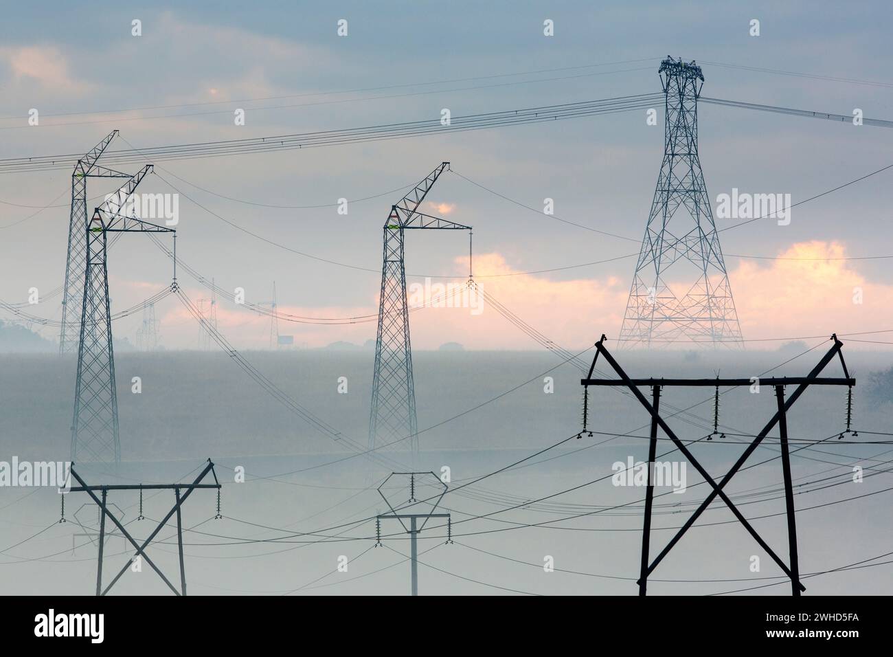 Africa, Gauteng Province, powerlines, Rietvlei Nature Reserve, South ...