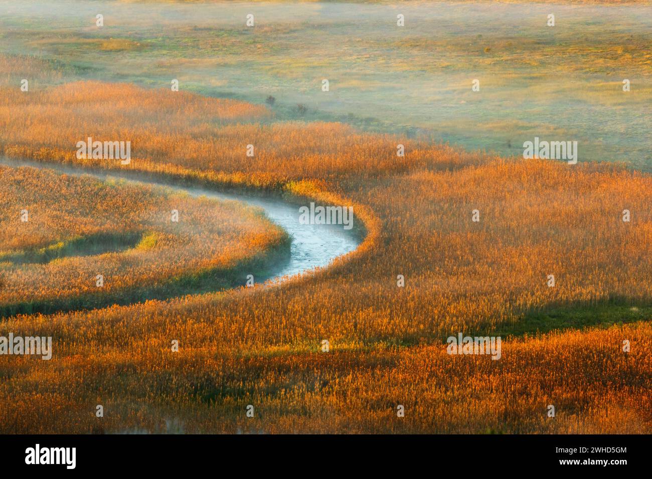 Africa, Garden Route, South Africa, Western Cape Province, scenic, bush ...