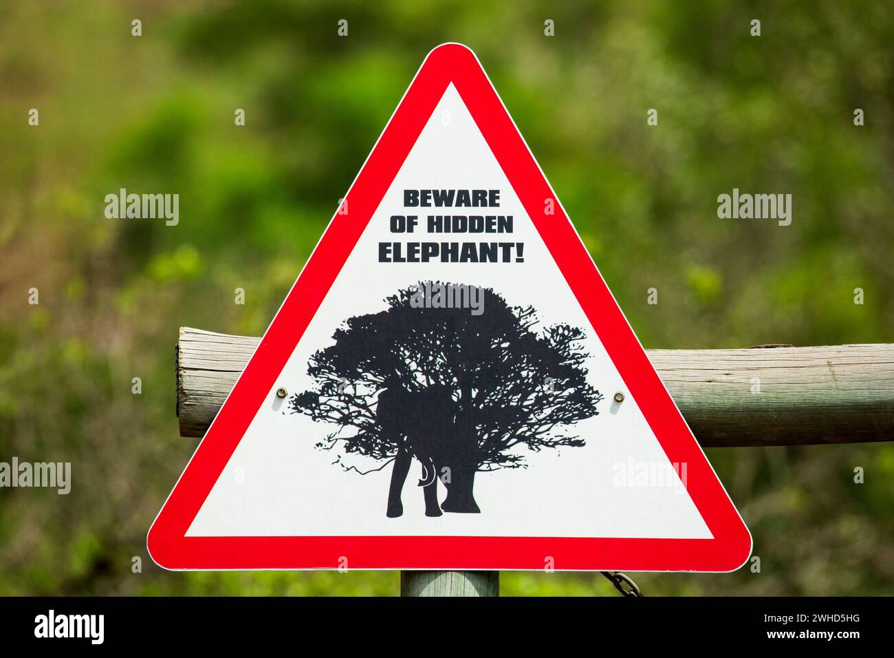 Africa, daytime, Itala Game Reserve, KwaZulu-Natal, no people, outdoors ...