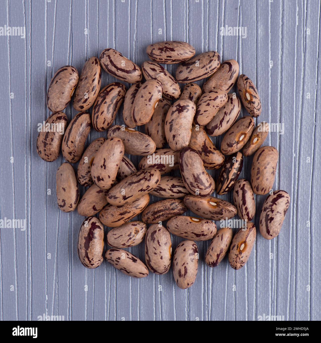 Pinto bean agriculture hi-res stock photography and images - Alamy