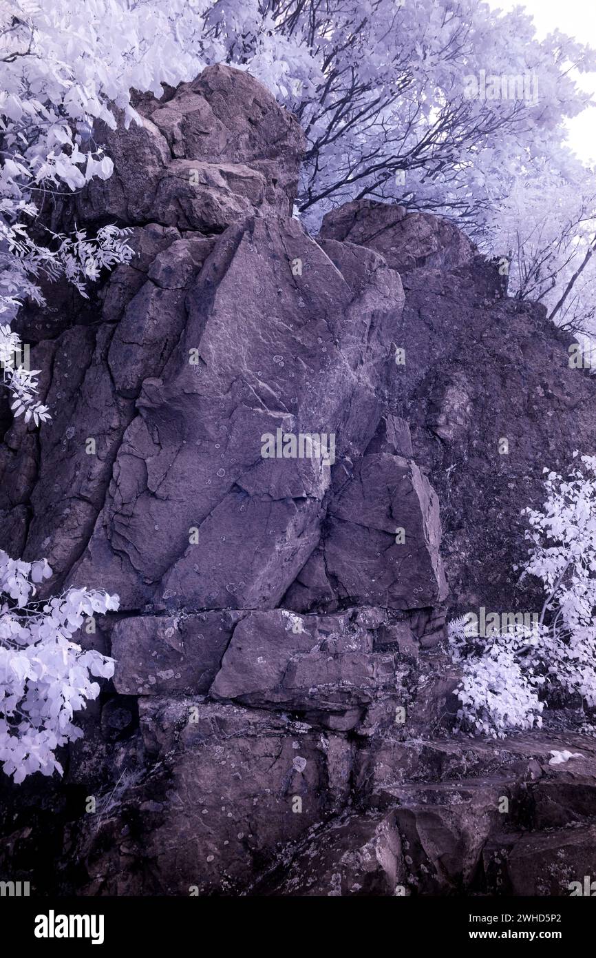 Group of rocks in deciduous forest hi-res stock photography and images ...