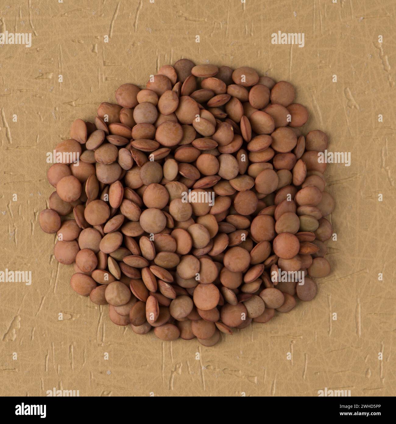 Raw uncooked lentils lens hi-res stock photography and images - Alamy
