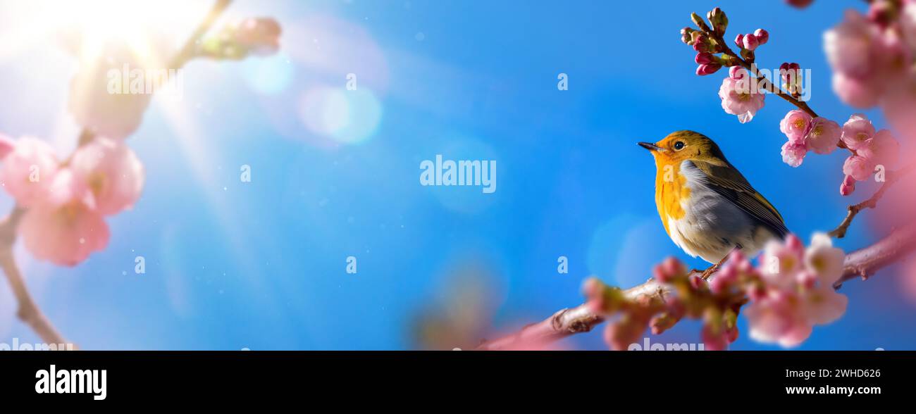 abstract art beautiful morning Spring landscape floral background ...