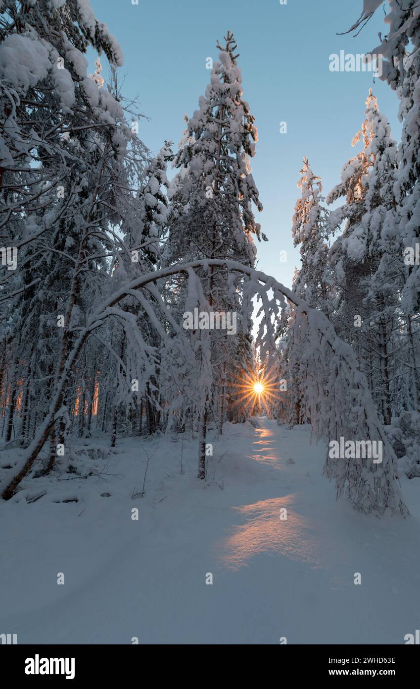 Swedish winter wonderland hi-res stock photography and images - Alamy