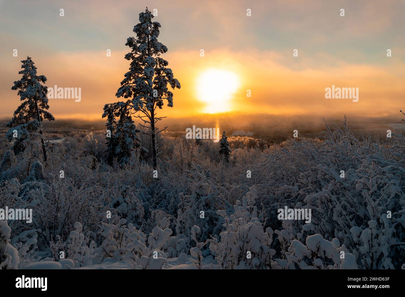 Swedish winter wonderland hi-res stock photography and images - Alamy