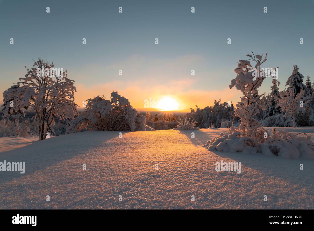 Swedish winter wonderland hi-res stock photography and images - Alamy