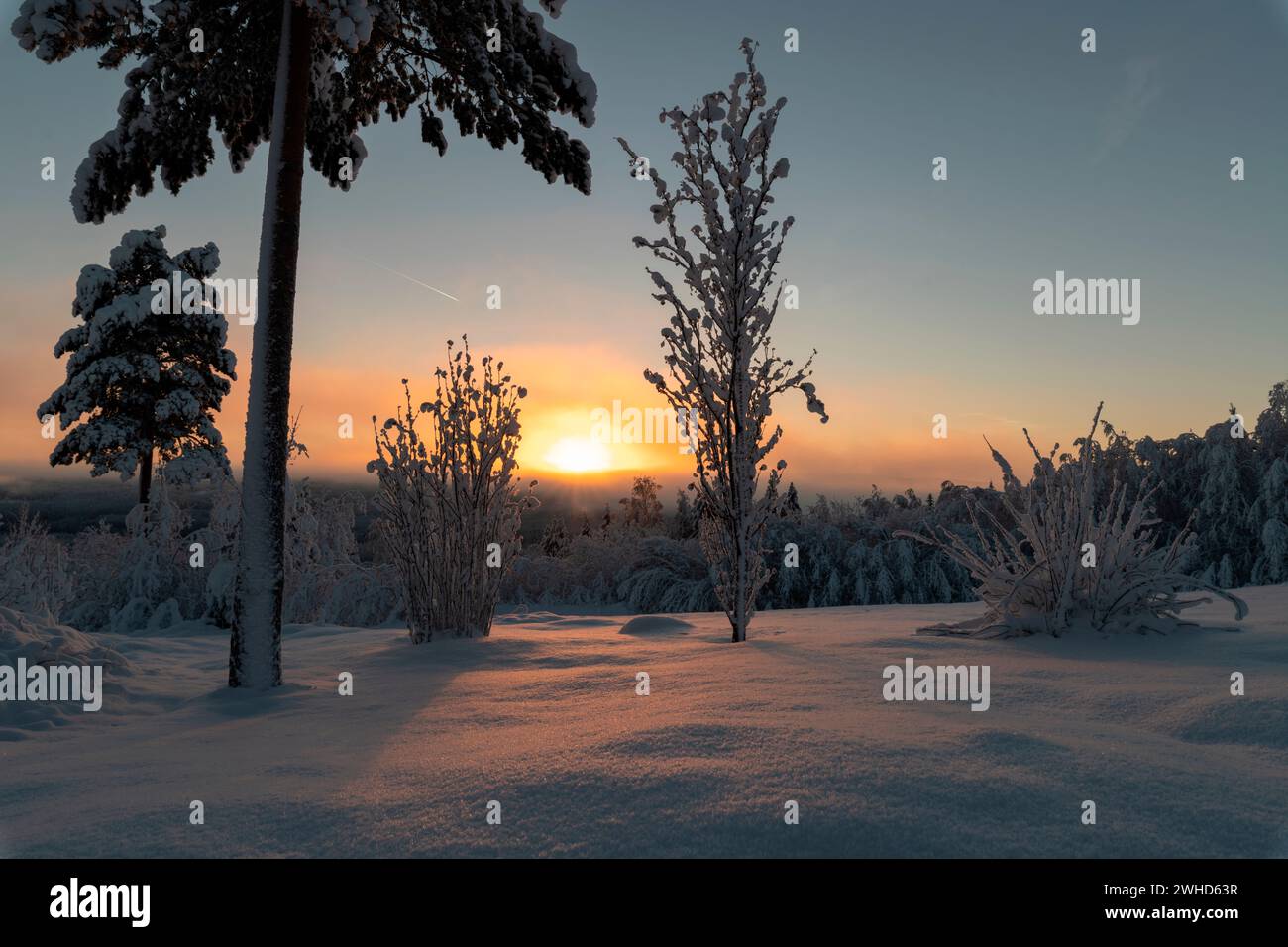 Swedish winter wonderland hi-res stock photography and images - Alamy