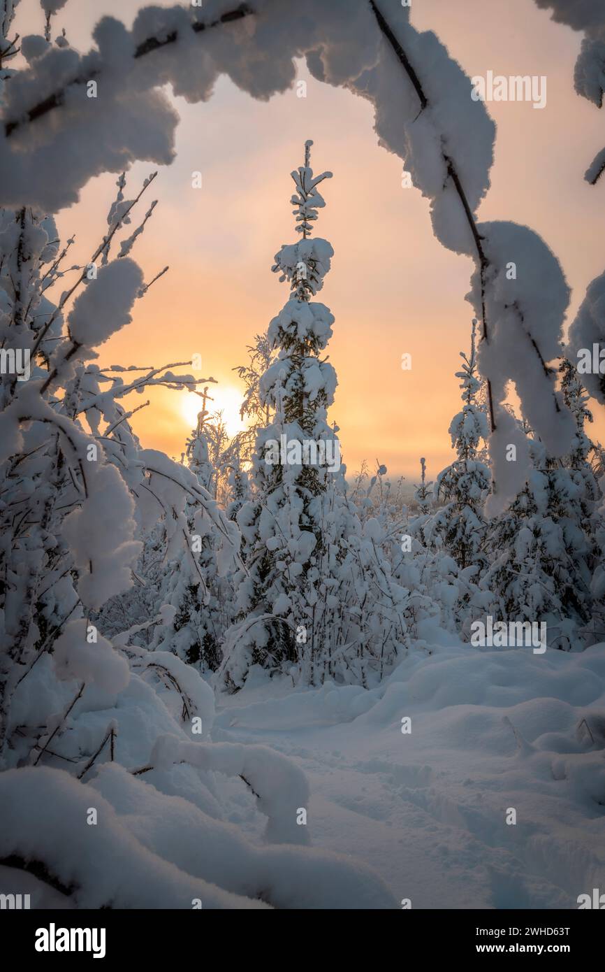 Swedish winter wonderland hi-res stock photography and images - Alamy