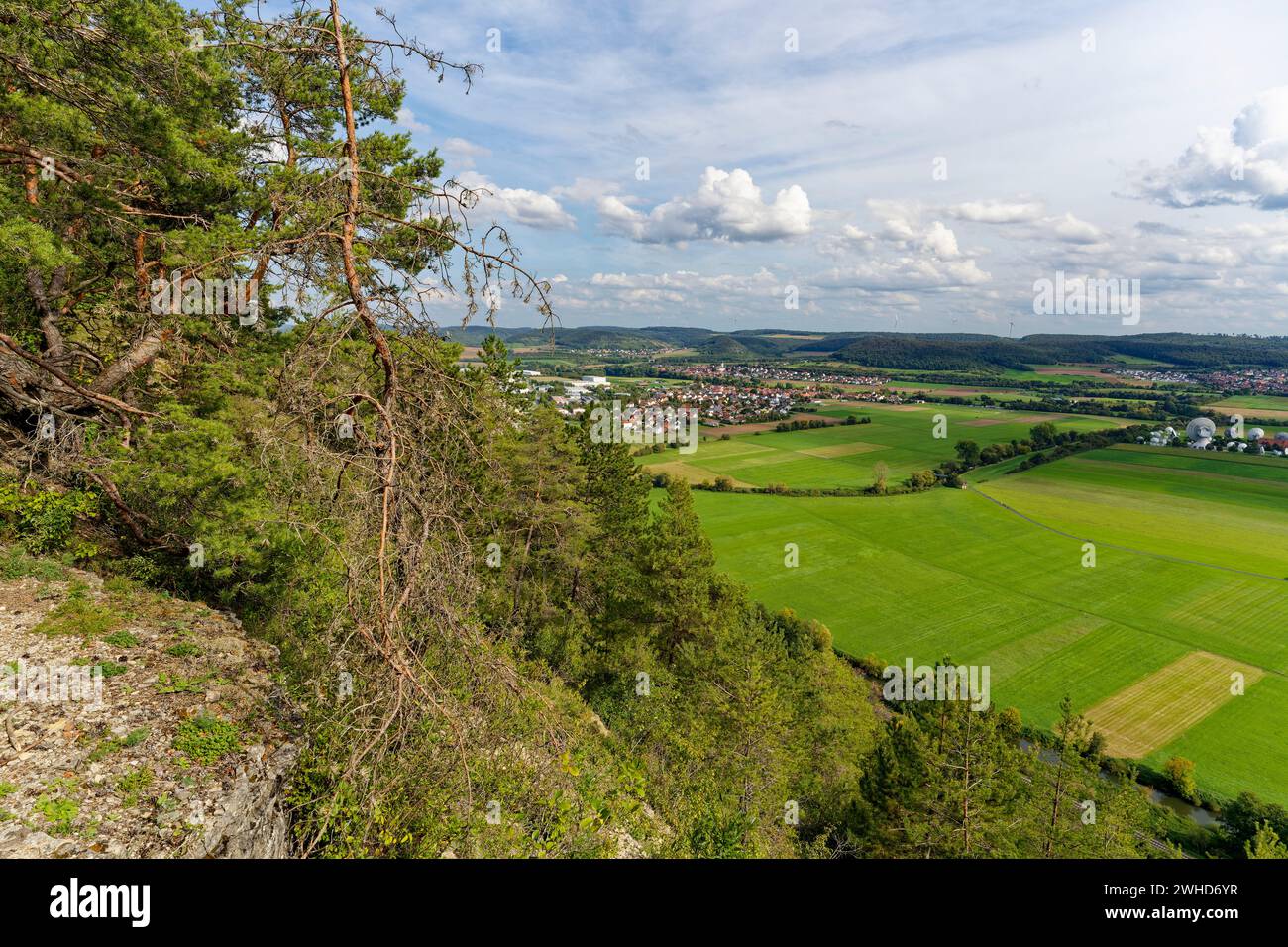Vineyards and shell limestone cliffs at the Hammelberg nature reserve ...