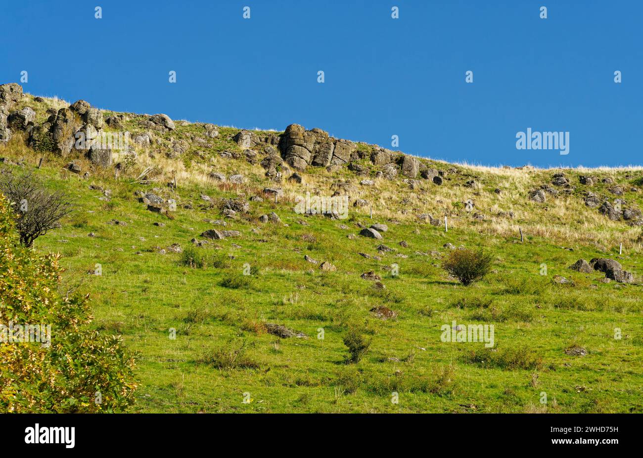 The Simmelsberg near Gersfeld in the Rhön biosphere reserve, Hesse ...