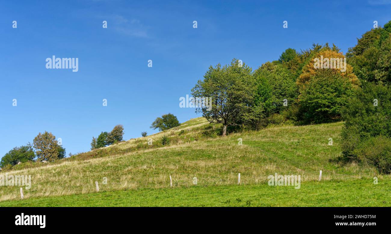 Gersfeld hi-res stock photography and images - Alamy