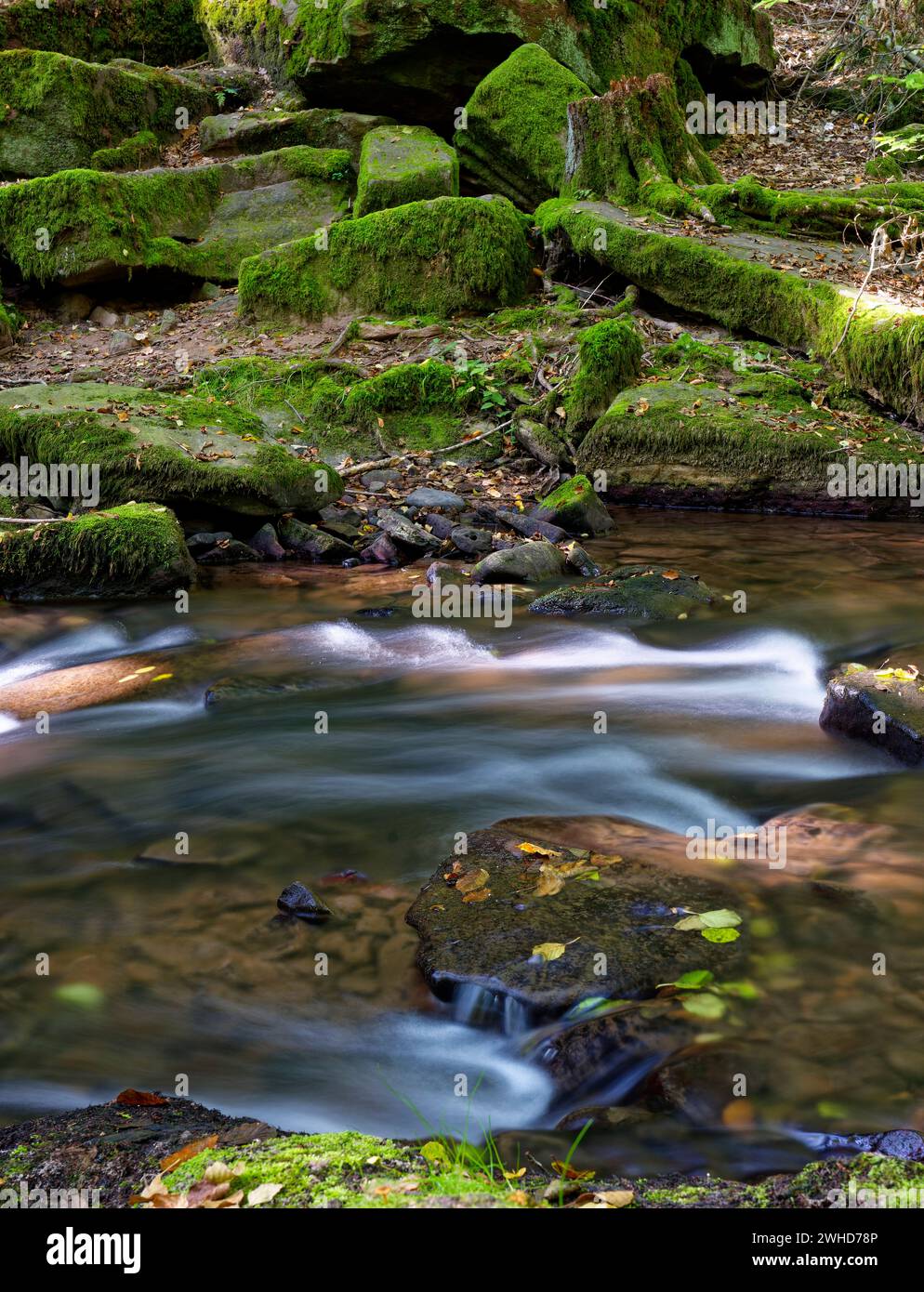 The course of the River Thulba in the core zone of the Rhön Biosphere ...
