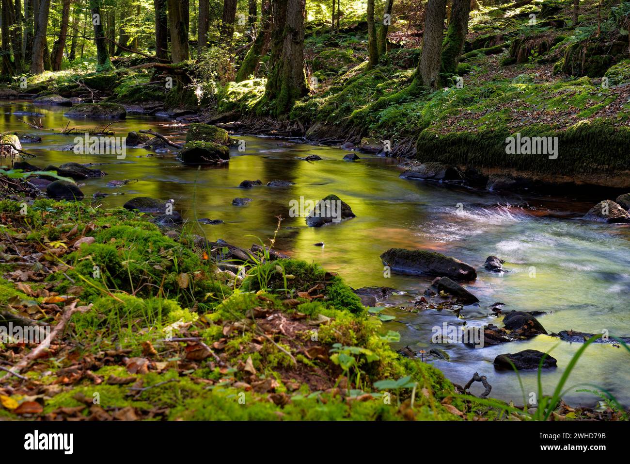 Thulba river hi-res stock photography and images - Alamy