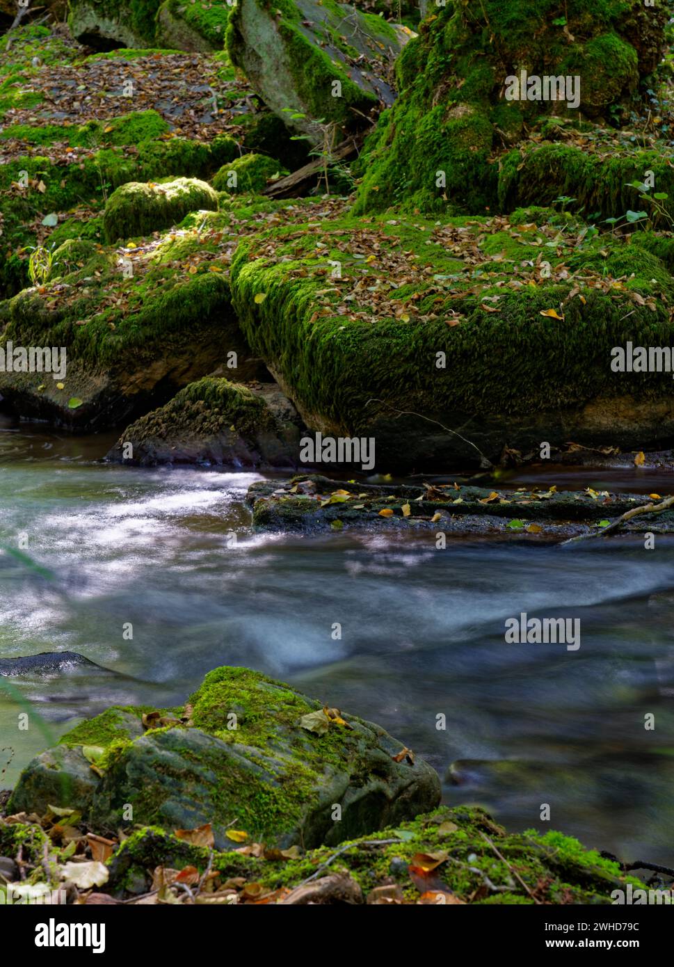 Thulba river hi-res stock photography and images - Alamy
