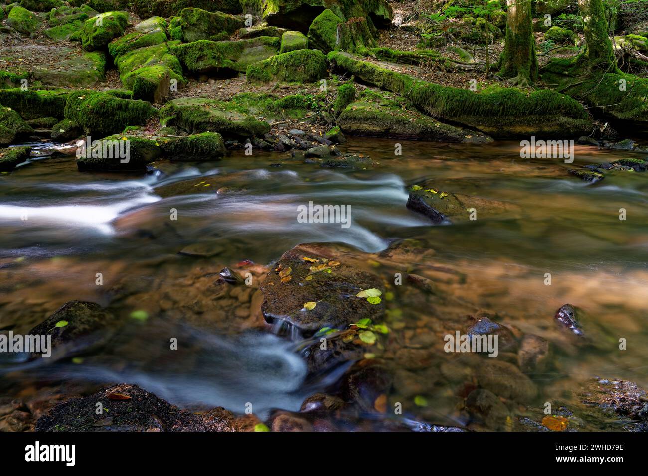 Thulba river hi-res stock photography and images - Alamy