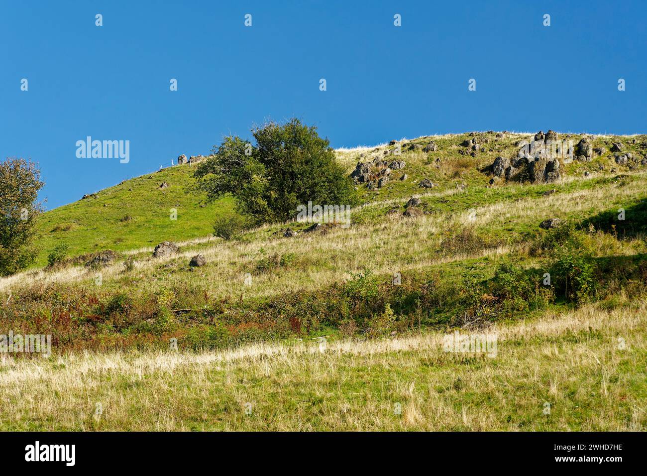 Gersfeld hi-res stock photography and images - Alamy