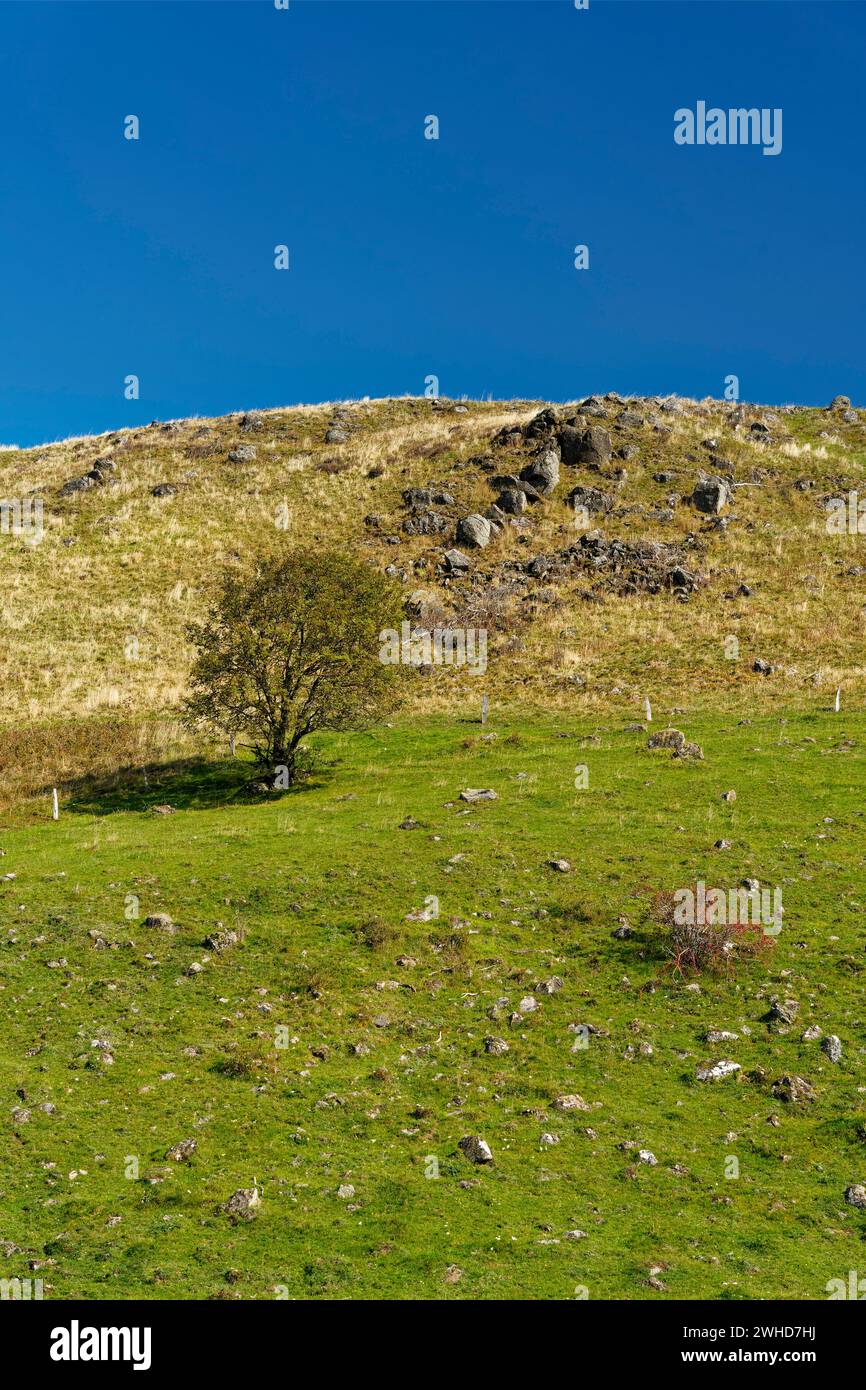 The Simmelsberg near Gersfeld in the Rhön biosphere reserve, Hesse ...