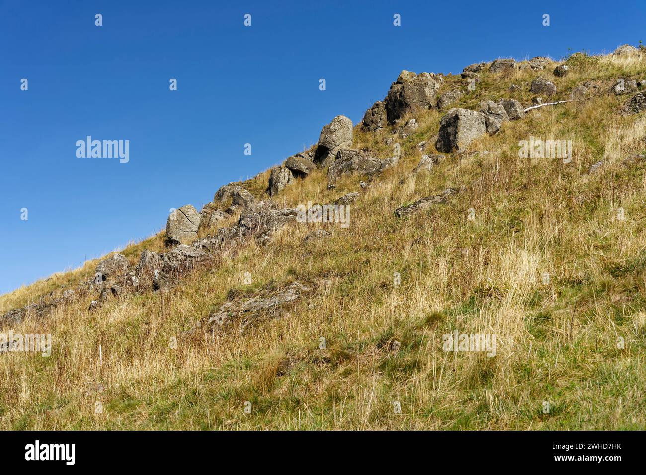 The Simmelsberg near Gersfeld in the Rhön biosphere reserve, Hesse ...